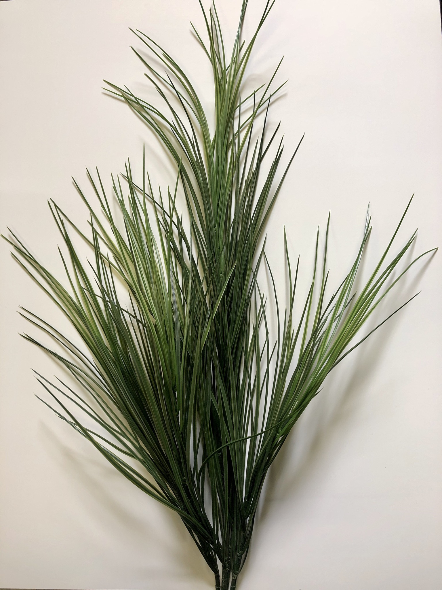 32" Fine Blade Grass - Gorilla Green Rentals