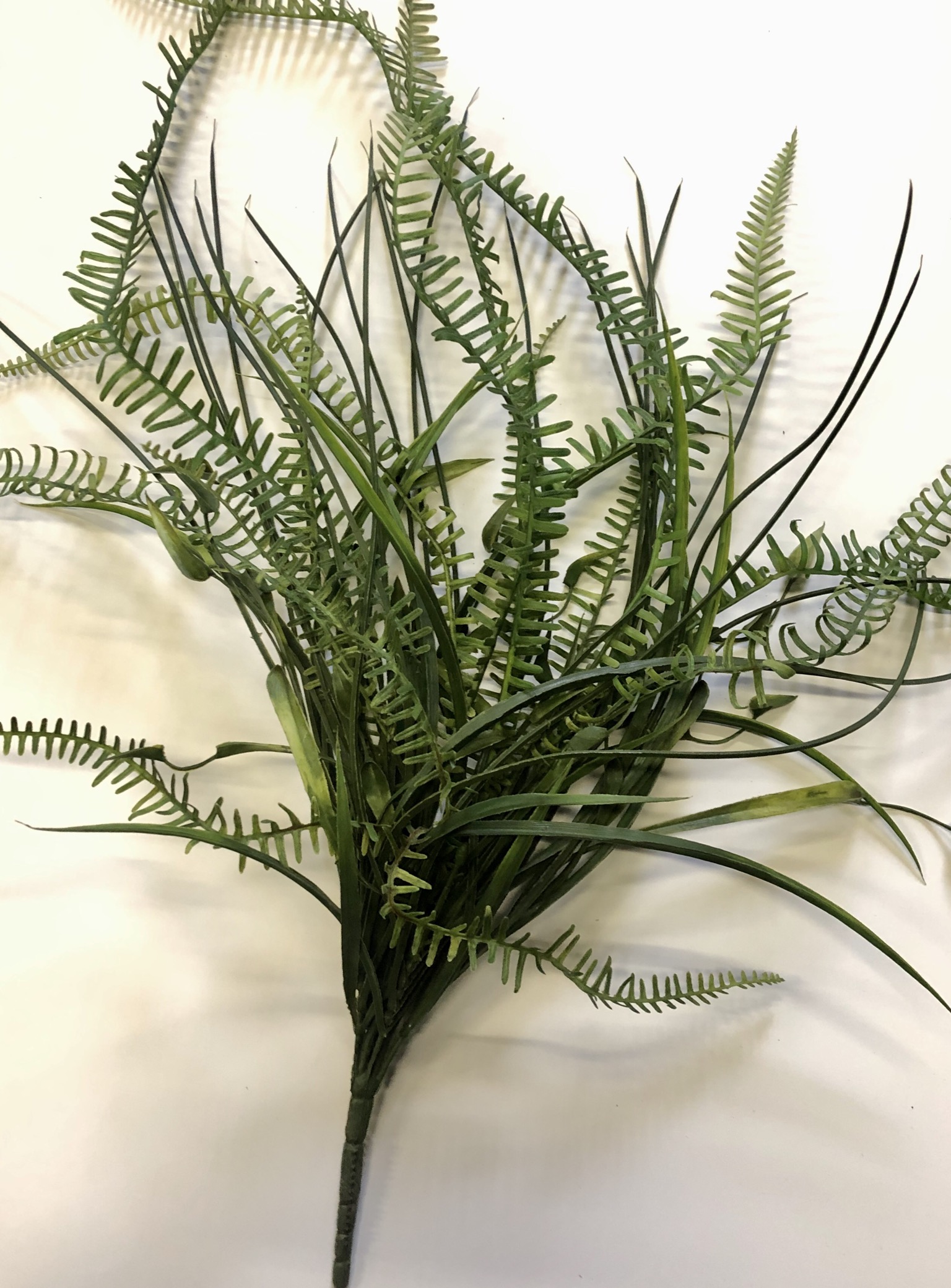 Ferns, Boxwoods & Tree Sprays - Gorilla Green Rentals